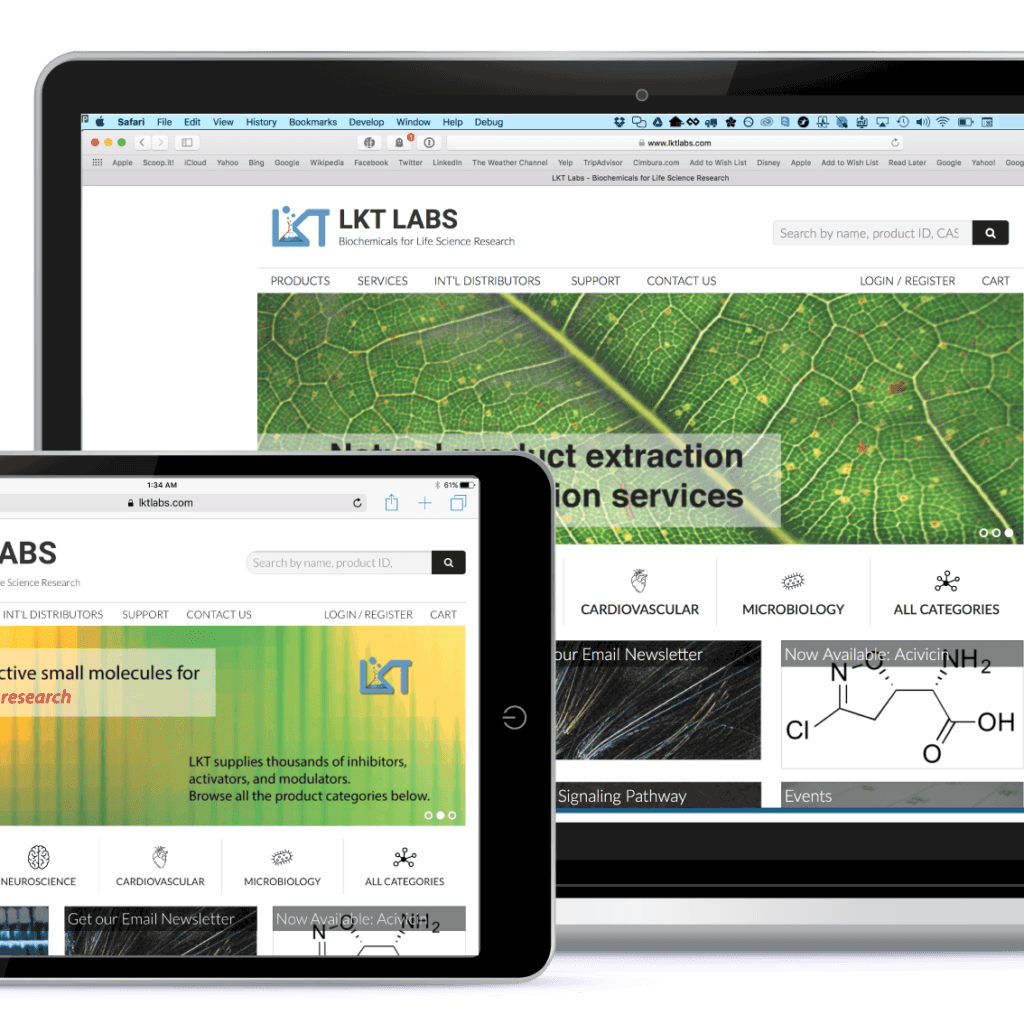 Retail eCommerce - LuminFire