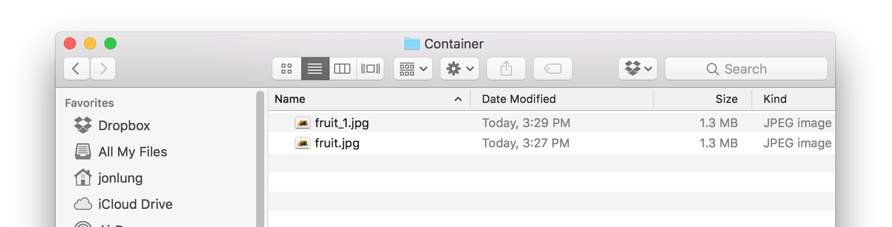Dealing with Tampered Containers in FileMaker Pro - LuminFire